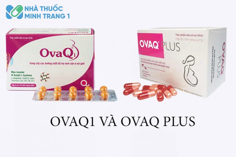 Review OvaQ Plus có tác dụng gì? So sánh OvaQ1 và OvaQ Plus?